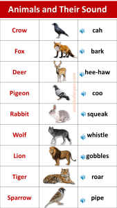 Animal Sounds List from A to Z – VocabularyAN