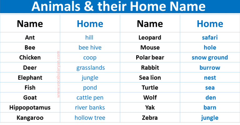 100+ Animals and Their Homes Names with Images – VocabularyAN