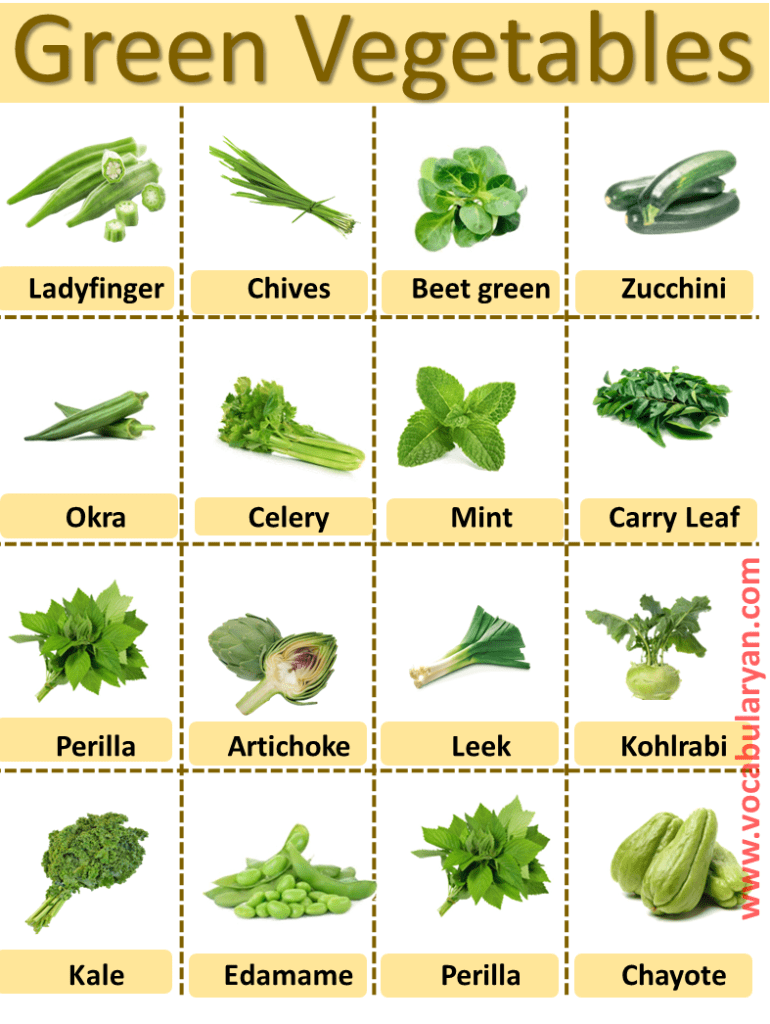 Green Vegetables Names – VocabularyAN