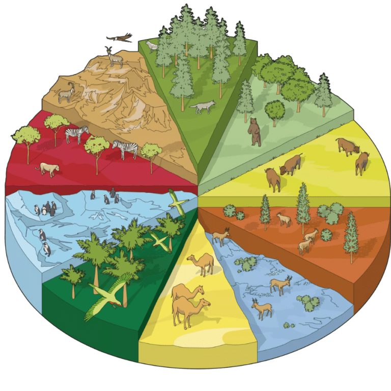 Nature Vocabulary Words List