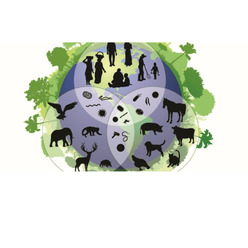 Nature Vocabulary Words List