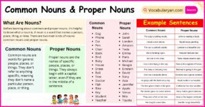 Common Nouns and Proper Nouns