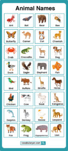 Animal Names in English: Types and Pictures