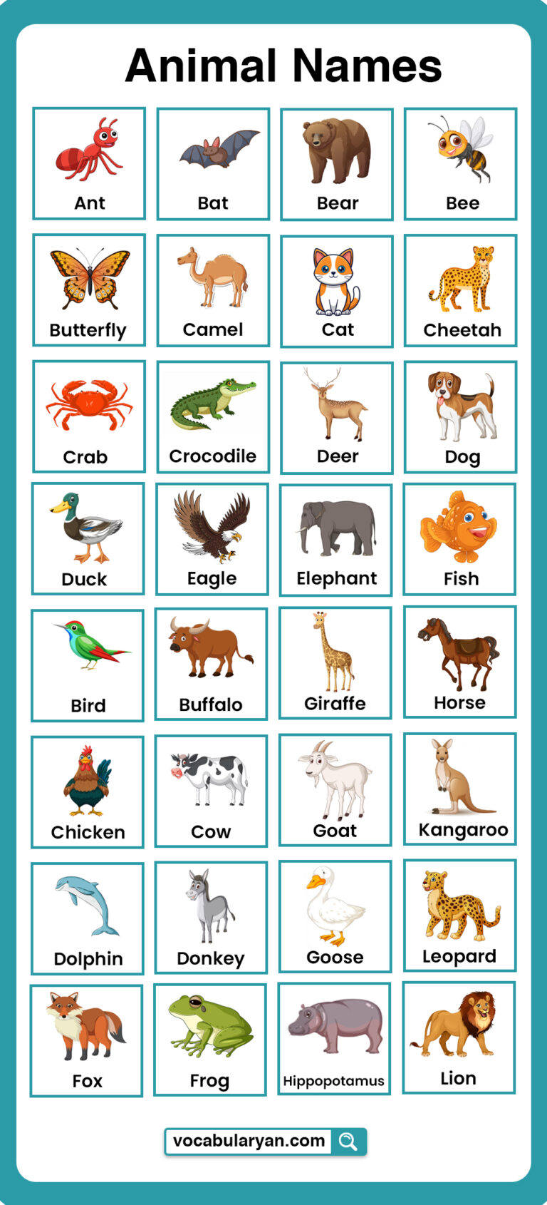 Animal Names in English: Types and Pictures
