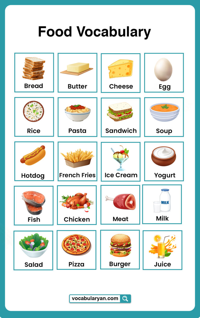Food Names in English: Categorized with complete List – VocabularyAN