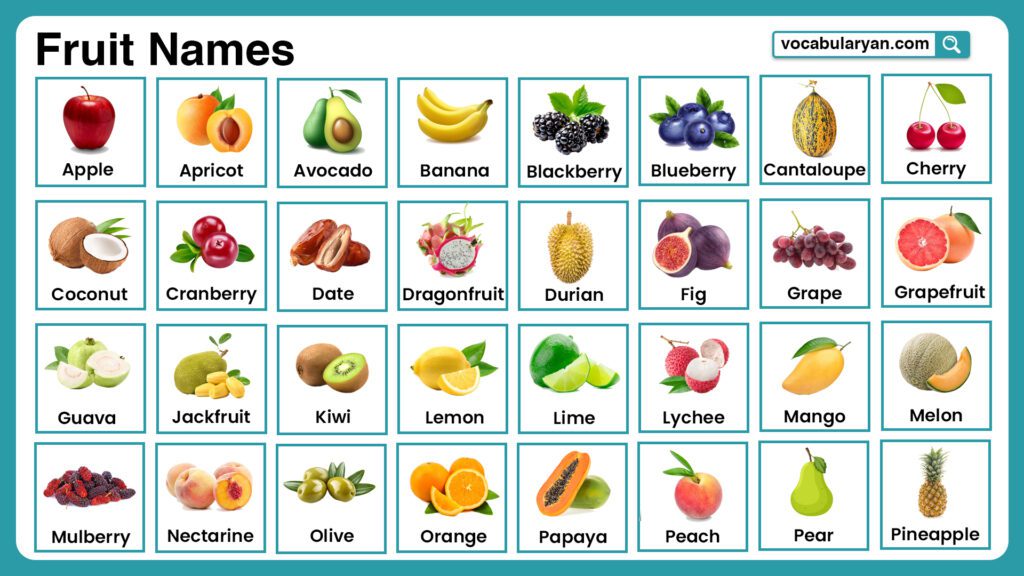 Fruits Names in English with Pictures List – VocabularyAN