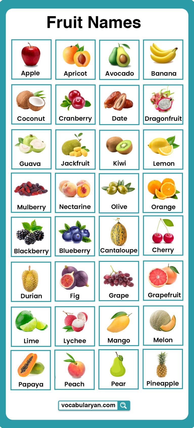 Fruits Names in English with Pictures List – VocabularyAN
