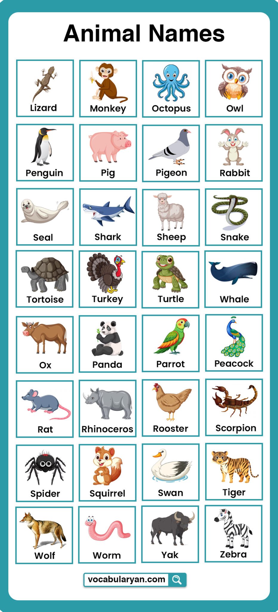 Animal Names in English: Complete Categorized List with Pictures