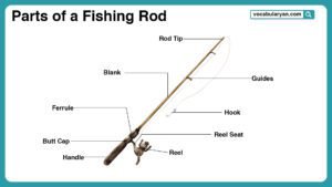 Parts of a Fishing Rod – Learn the Names of Key Components