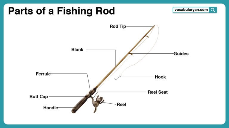 Parts of a Fishing Rod – Learn the Names of Key Components