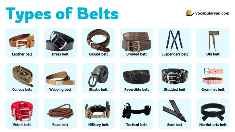 Types of Belts in English with Pictures – VocabularyAN