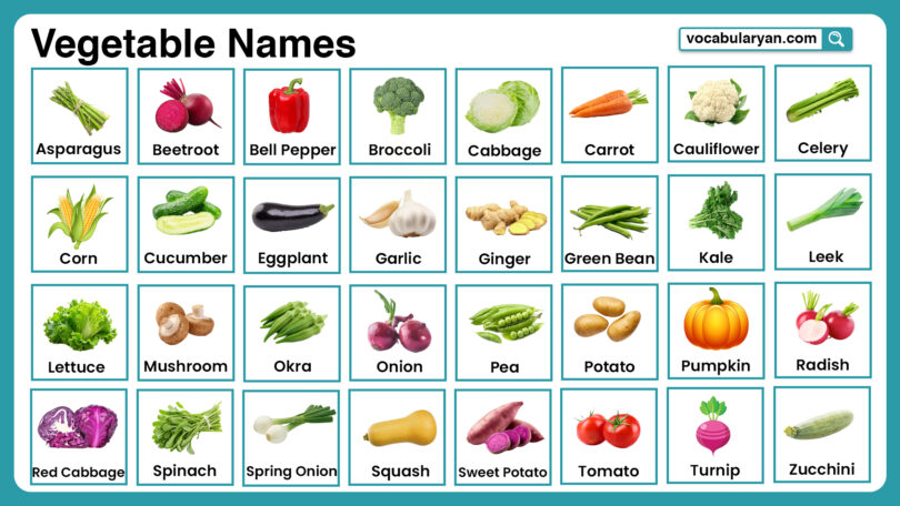 Learn Vegetables Vocabulary in English with Pictures