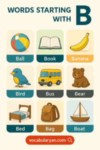 B Words List in English: 532 Nouns, Verbs, Adjectives