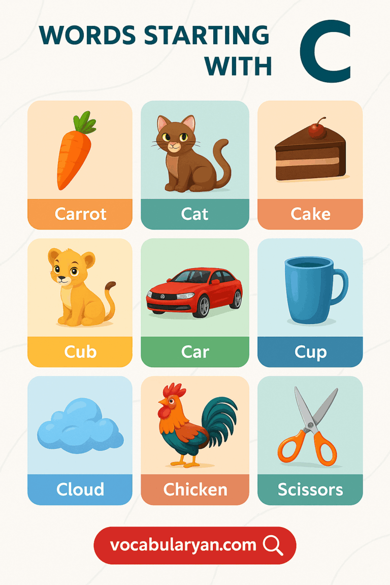 List of 600 C Words in English: Nouns, Verbs, Adjectives – VocabularyAN